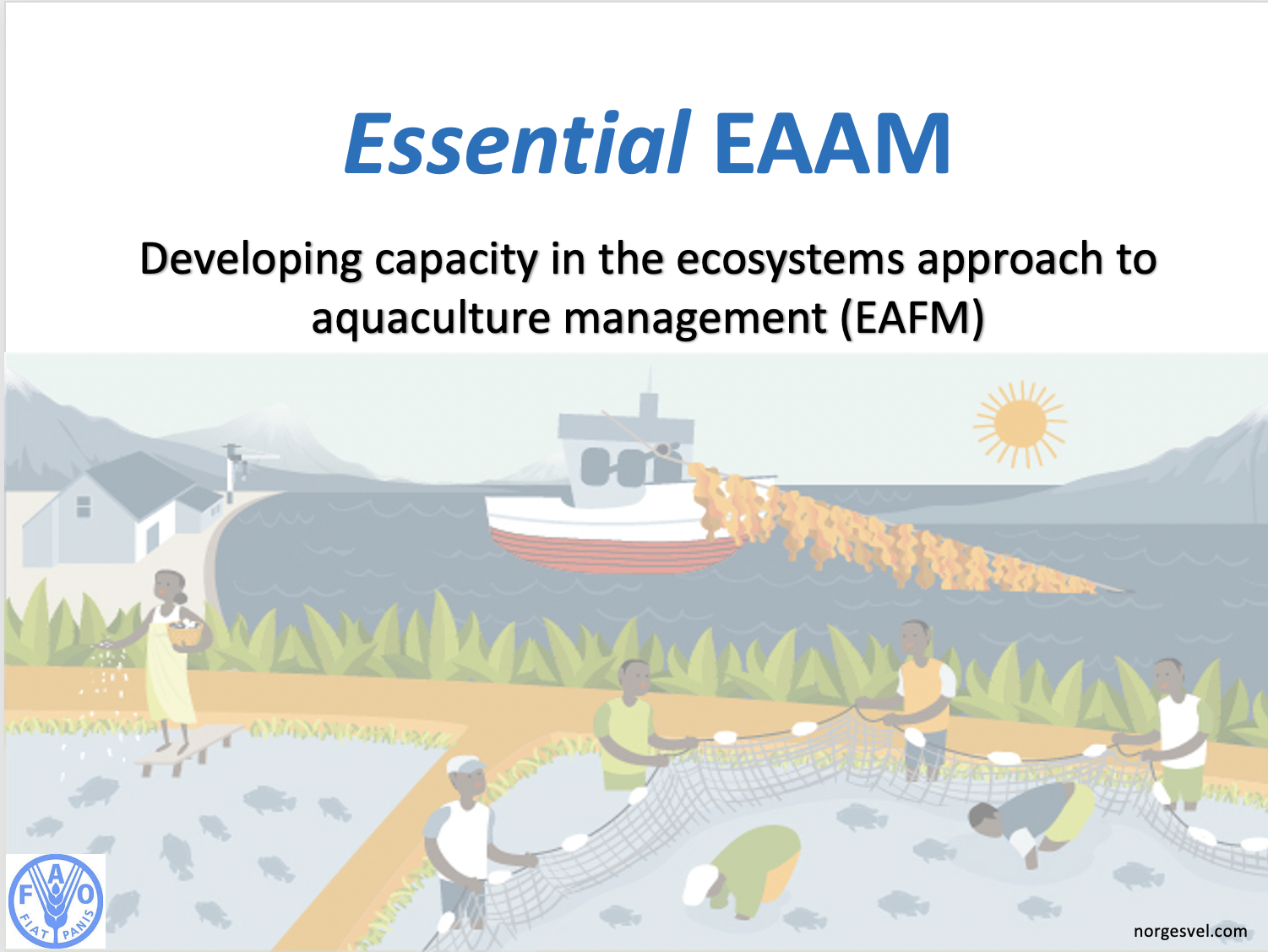 Ecosystem Approach to Aquaculture Management EAAM training | FishAdapt Project